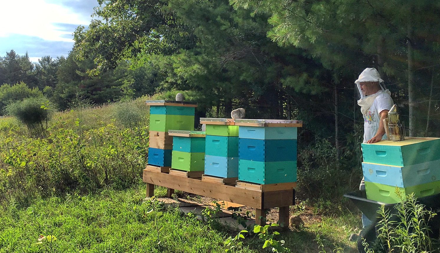 The Heritage Bee Company – EcoCaledon